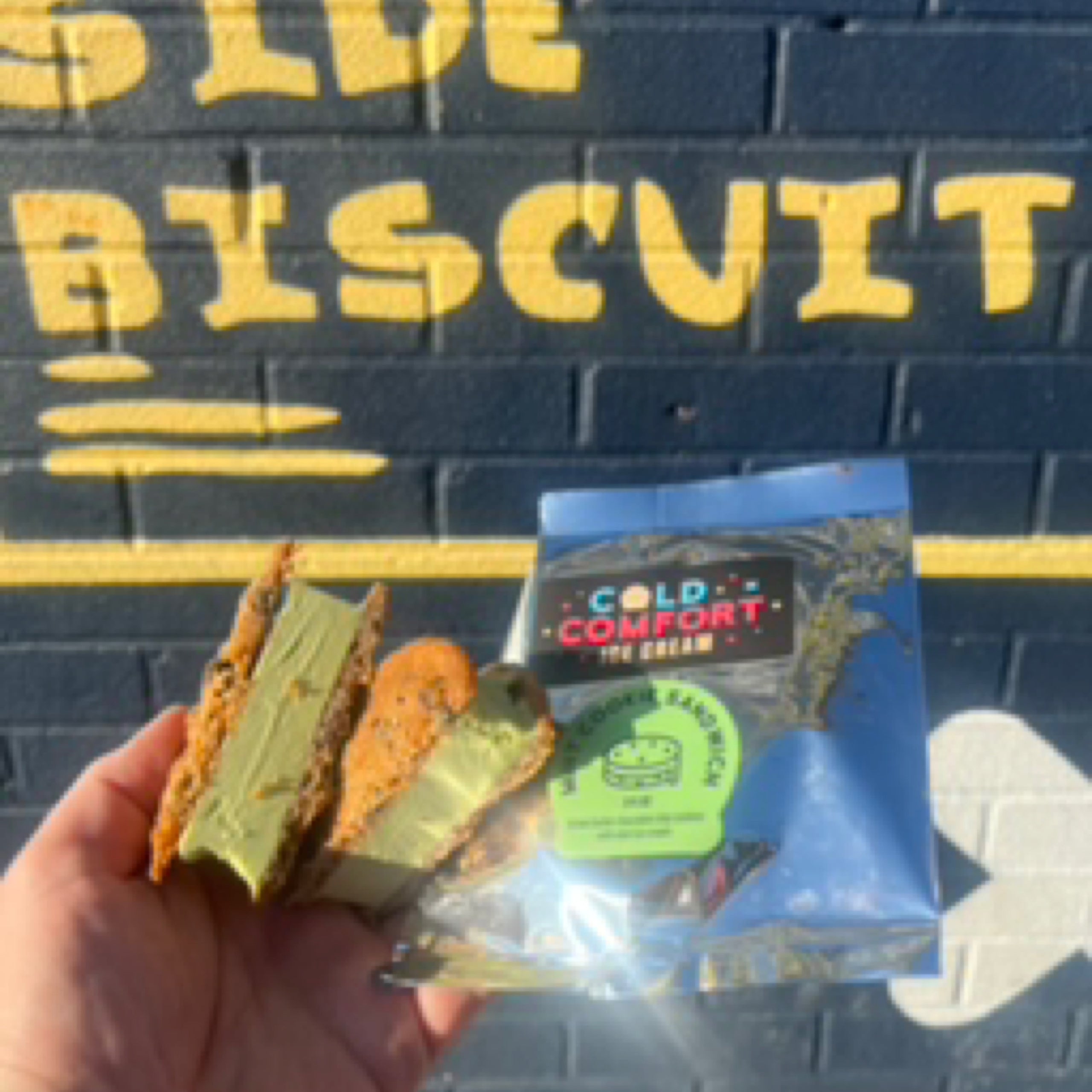 Mint Cookie Ice Cream Sandwich | Side Biscuit